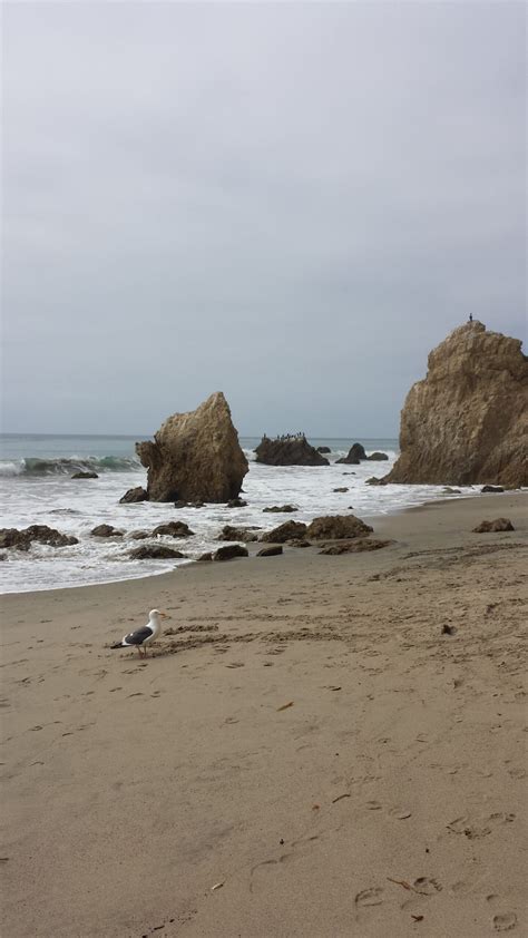 Stata Unique Number Of Observations All That Research