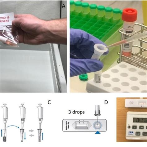 Antigen Testing Procedure With Reference Test Roche Download