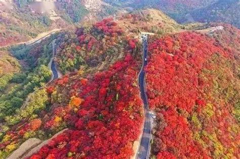 红叶柿岩 淄博红叶柿岩、七彩玻璃栈道、时光隧道一日游琉璃