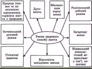 герантологія.гаврилюк.настя | PPT