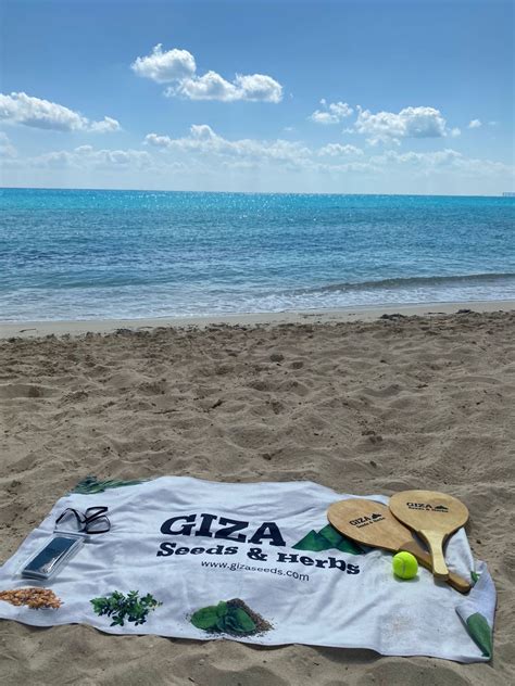 Mostafa Hisham Posted On Linkedin