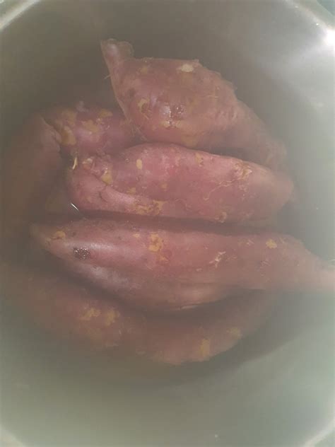 김이 모락모락 고구마 음식여행 에펨코리아