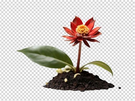 Page 2 Biofertilizers Images Free Download On Freepik