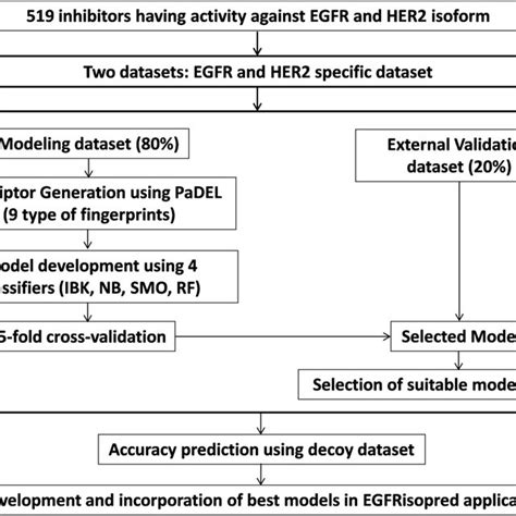 Flowchart Describing The Workflow Used In This Paper Download Scientific Diagram