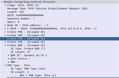 Cups Control And User Plane Separation In Lte And Nr With Pfcp Sx And N4 Nick Vs Networking