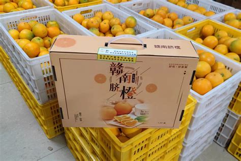 赣南早脐橙 赣州耕甜农业科技有限公司
