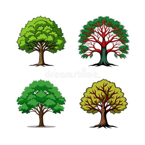 Stunning European Ash Tree Artwork Stock Vector Illustration Of