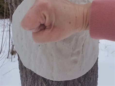 3 EASY Ways To Make DIY Tree Bark JANESAWYERMAKES COM