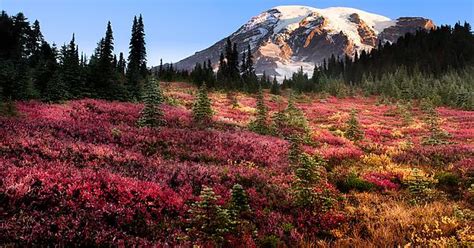 Mt Rainier Fall Sunrise 5732 X 3821 Oc Imgur