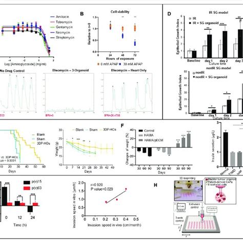 Vascularization Of Bioprinted Organoids A B Direct Bioprinting Download Scientific Diagram