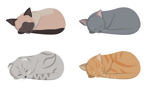 Sleeping Different Cats 2162726 Vector Art At Vecteezy