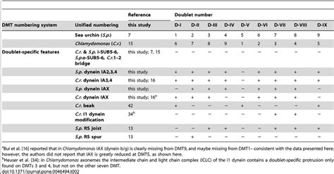 Correlation Of Dmt Numbering Systems And Doublet Specific Features