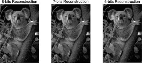 The Reconstructed Results Using The Different Bit Planes Of Koala Download Scientific Diagram