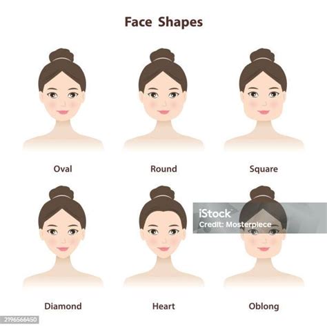 기본 얼굴 모양의 다이어그램 벡터 일러스트 레이 션 절연 통하고 있는 통하고 있는 White Background 개성 개념에 대한 스톡 벡터 아트 및 기타 이미지 Istock