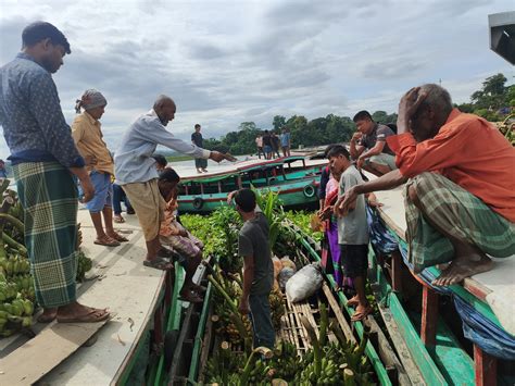 প্রথম দফায় পাহাড়ি দেশি মুরগি সংগ্রহ খামারের জন্য দাম কেমন কিভাবে সংগ্রহ করলাম খামারের