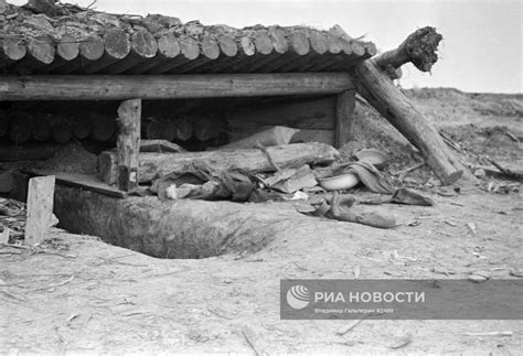 Блиндаж | РИА Новости Медиабанк