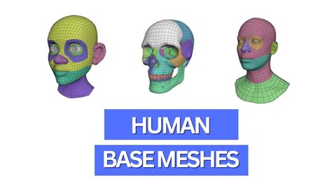 how to use blenders new human base meshes for 3d character design youtube