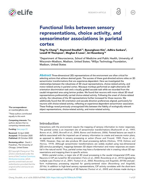 Pdf Functional Links Between Sensory Representations Choice Activity