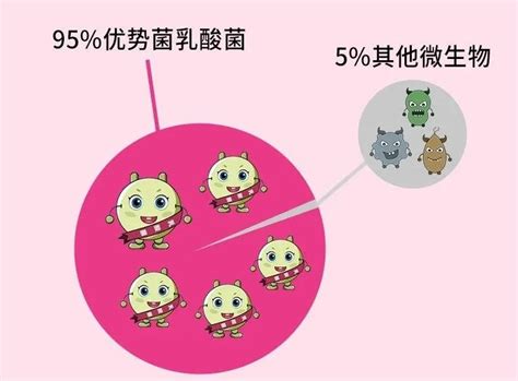 霉菌性阴道炎为什么总复发？一次性了解清楚！ 知乎