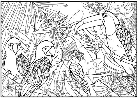 Free Printable Exotic Adult Coloring Pages