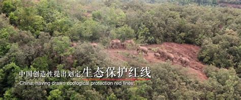 全球连线 重磅微视频万物生 周到上海