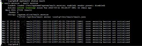 Info Core Security Barrier Not Initialized Vault Hashicorp Discuss