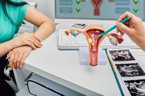 Endometrium Fungsi Dan Gangguan Penyakitnya