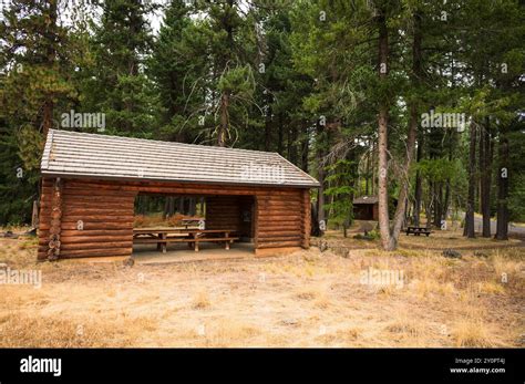 An Oregon State Park Picnic Area In A Dense Forest With Log Cabin Style