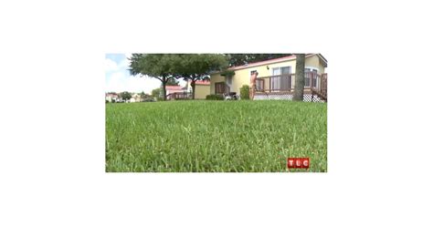 Buying Naked diffusée sur la chaîne américaine TLC Purebreak