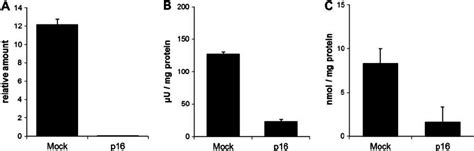 Down Regulation Of Gne And Membrane Bound Sialic Acid In Download