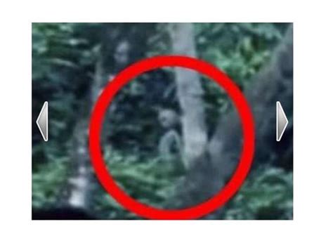 Извънземни живеят в Амазонската гора снимки