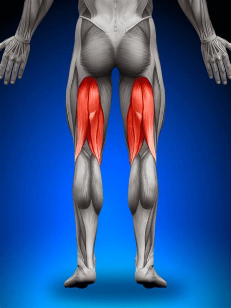 Single Leg Floor Sliders Hamstring Leg Curls Horton Barbell