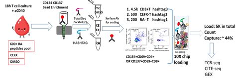 Single Cell RNA Sequencing Analysis And Immune Profiling Of Antigen Specific T Cells In Patients