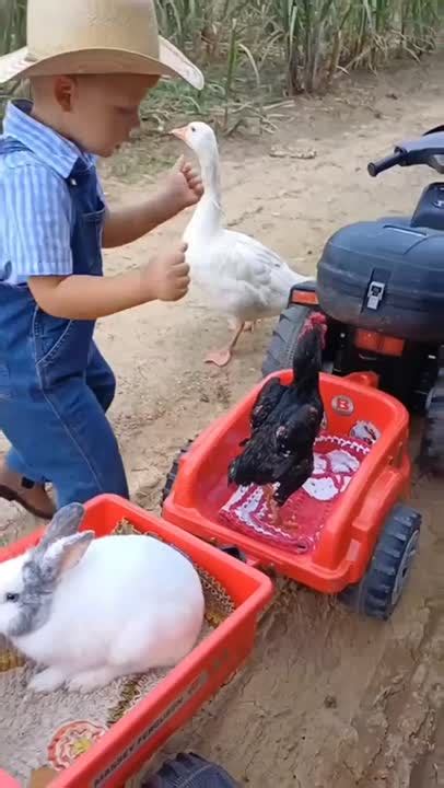 Shoaib Ahmed Shaikh On Linkedin Pls Care Of Your Team