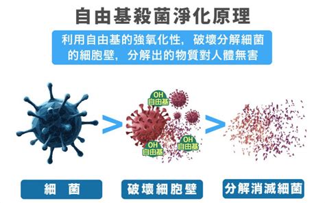 澄康成人立體醫療抗菌口罩 產品介紹 澄康生技股份有限公司