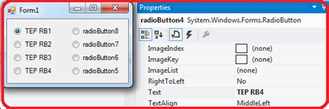 C Radiobutton Control The Engineering Projects