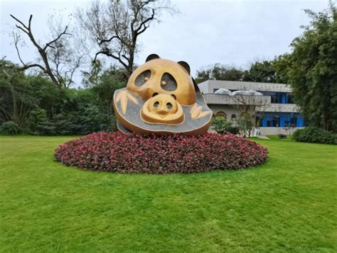 成都熊貓基地 錦里古街 春熙路太古里一日漫遊當地中英文雙語導遊2 10人小團 KKday