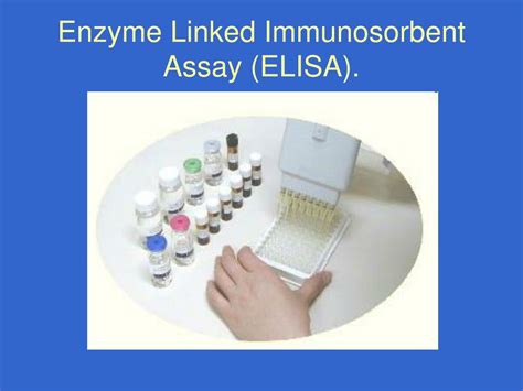 Ppt Enzyme Linked Immunosorbent Assay Elisa Powerpoint