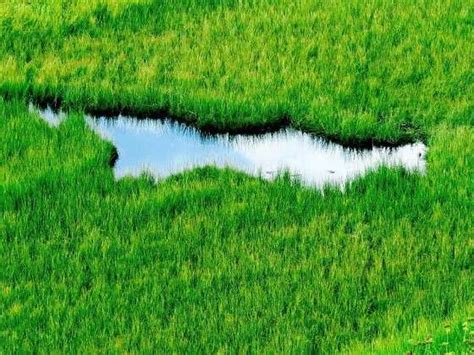 „ეს ქვეყანა დედამიწის ერთ ერთ უმშვენიერეს გარემოშია ჩაკარგული“… გურიის მოამბე