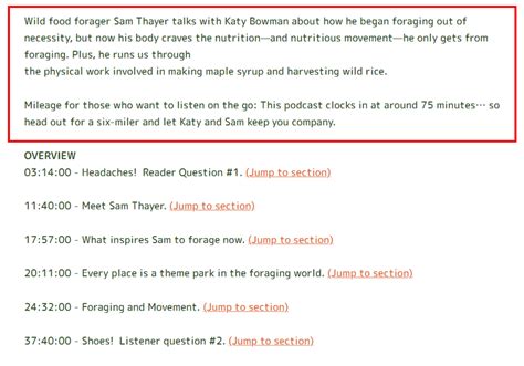 How To Create Great Podcast Transcripts A Z Guide Examples Cleanvoice Ai