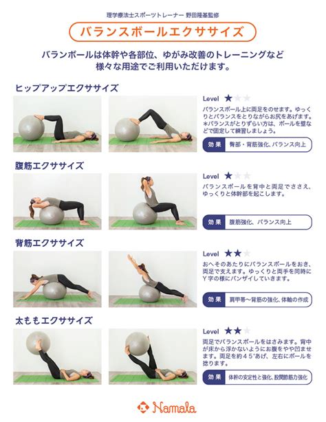 ナマラ Namala バランスボール45cm Na6555 グレー フィットネス エクササイズ 体幹トレーニング 筋トレ バランスボール 2021年秋冬新作