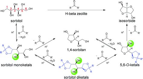 Sorbitol Ring Structure
