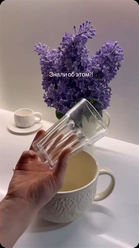 Пицца 🍕 Ингредиенты на 3 шт теплая вода 300мл дрожжи 8гр соль шиповка растительное масло