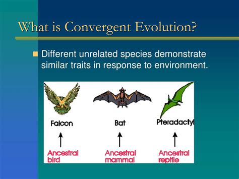 Ppt Chapter 15 Theory Of Evolution Powerpoint Presentation Free