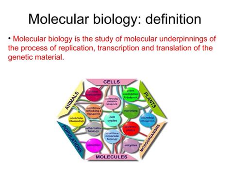 Addition Polymerization Its Examples And Uses Pptx
