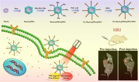 Schematic Illustration For The Design And Synthesis Of Core Shell Download Scientific Diagram