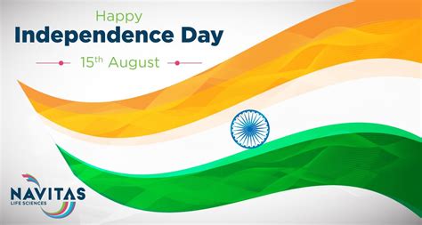 Statistical Programming Functional Service Provider Fsp Navitas