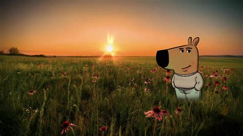 Just A Chill Guy Mobile Live Wallpaper