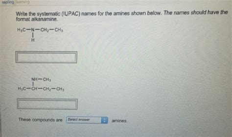 Solved Write The Systematic Iupac Names For The Amines