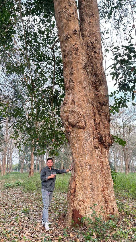 លោក ឌិត ទីណា ៖ លើកទឹកចិត្តឱ្យមានការសរសេរអត្ថបទកៅស៊ូថ្មី ដែលមានលក្ខណៈបែបវិទ្យាសាស្ត្រ